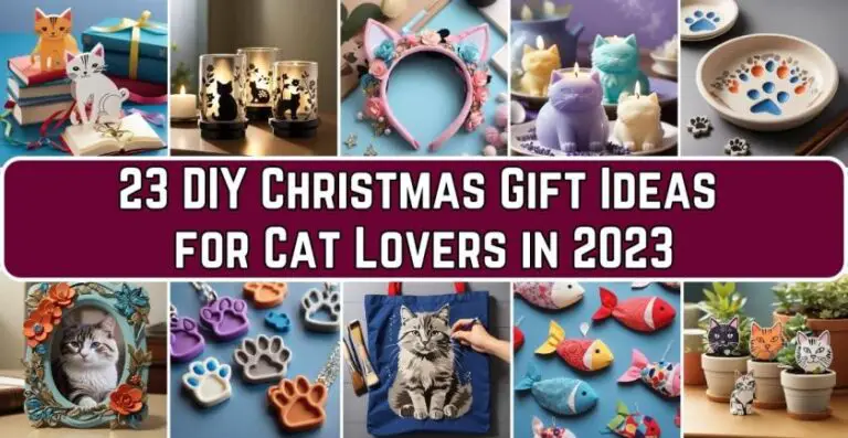 23 DIY Christmas Gift Ideas for Cat Lovers in 2024