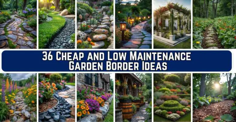 36 Cheap and Low Maintenance Garden Border Ideas